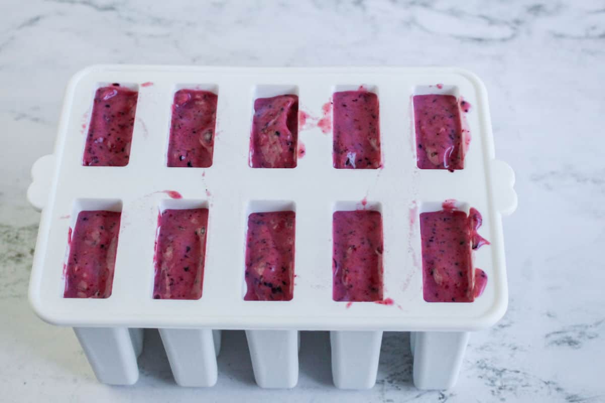 Fresh Fruit Bar Popsicles